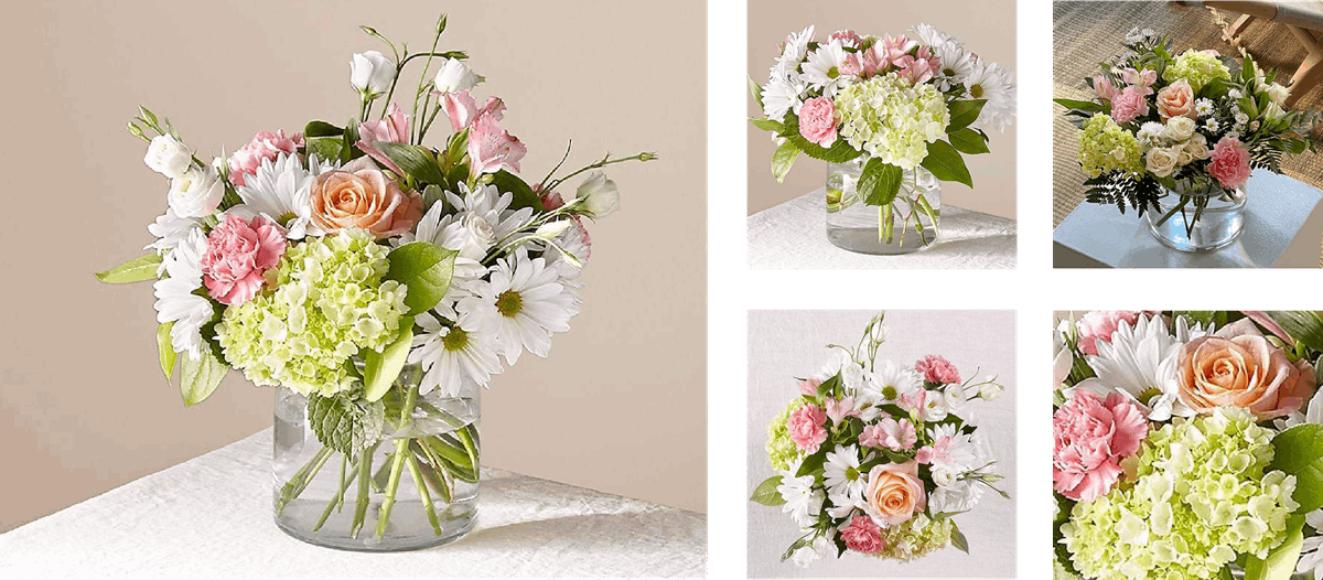 Bella – Petals.Africa