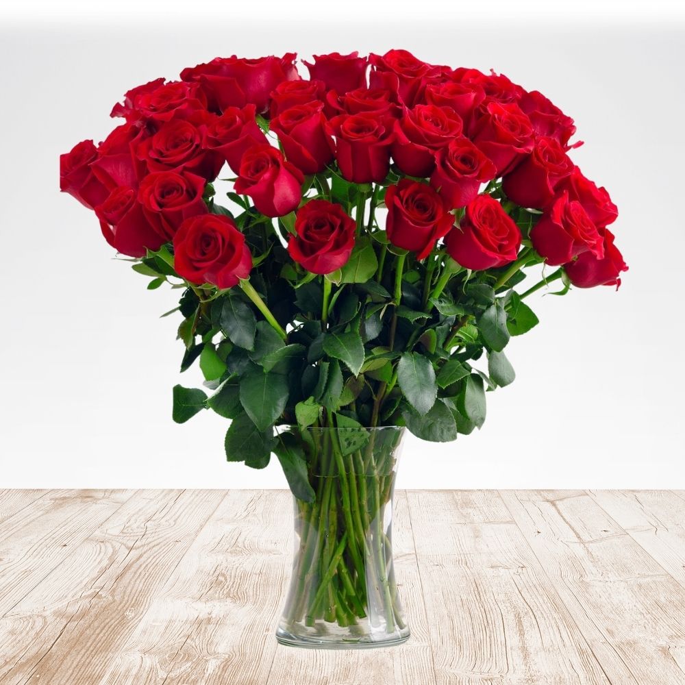 Red Roses – Petals.Africa