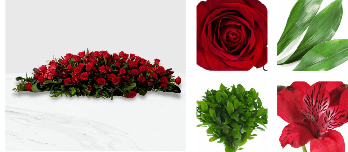 Red Coffin Spray – Petals.Africa