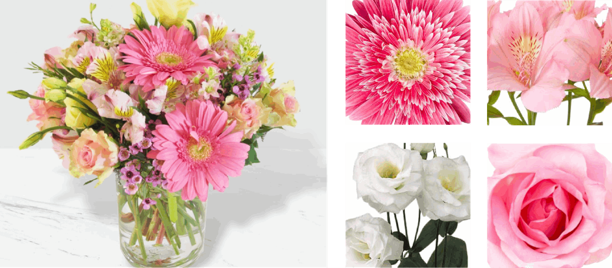 Sweet Perfection – Petals.Africa